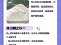 淮山药粉的功效与作用_淮山药粉怎么吃最好