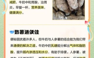 地瓜人参可以一起吃吗_食用禁忌与科学吃法