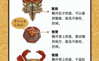 大闸蟹哪些部位不能吃_高清图解部位