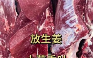 怎样在家煮生牛肉_生牛肉煮多久才熟