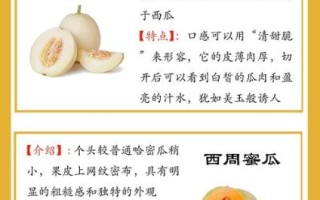 小香瓜的功效与作用_小香瓜能减肥吗