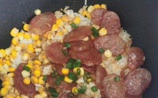 腊肠饭电饭煲怎么做_腊肠饭电饭煲水米比例