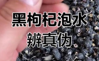 假黑枸杞泡水颜色对比_真黑枸杞泡水颜色差异