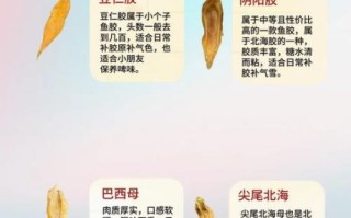 鮸鱼胶多少钱一斤_鮸鱼胶和黄花胶区别