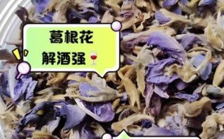 葛根花的副作用_葛根花泡水喝的禁忌