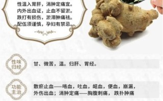 三七的功效与作用_三七主治哪些病