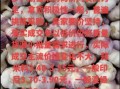 今天大蒜多少钱一斤_2024年6月大蒜价格走势