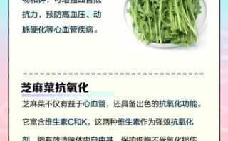 芝麻菜是什么菜_芝麻菜怎么吃