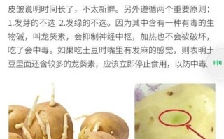 土豆发芽有什么毒素_吃了会中毒吗