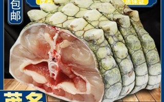 鳄鱼肉市场价多少一斤_鳄鱼肉价格影响因素