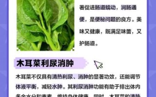 木耳菜的功效与作用及禁忌_什么人不能吃
