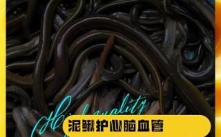 泥鳅汤有营养还是泥鳅有营养_哪个更补身体