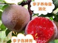 李子果的功效与作用_李子果怎么吃最健康