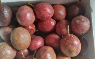 西番莲和百香果的区别_哪个更好吃