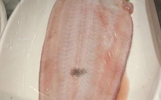 牛舌头鱼多少钱一斤_牛舌头鱼价格走势