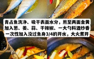 淡水大青鱼怎么做好吃_淡水大青鱼做法大全