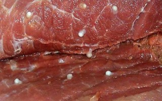 猪肉绦虫怎么杀死_猪肉绦虫高温能杀死吗