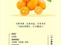 金桔图片大全_金桔怎么挑选