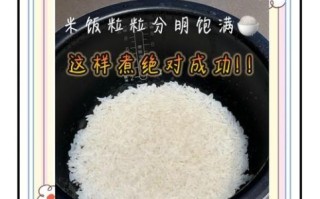 大米饭米和水的比例是多少_电饭煲水米比例怎么调