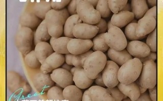 山药豆怎么吃好吃又简单_山药豆的家常做法大全