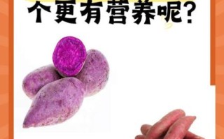 红薯和紫薯哪个更有营养_糖尿病人能吃红薯吗