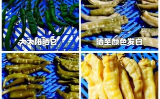 湖南白辣椒怎么做_白辣椒腌制方法