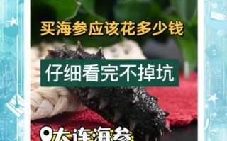 山东海参多少钱一斤_山东海参怎么挑选