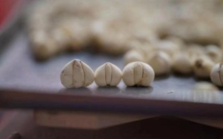 川贝粉怎么吃治咳嗽最好_川贝粉止咳用量一天几次