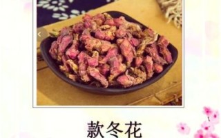 款冬花润肺止咳吗_款冬花功效与作用禁忌