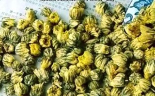 胎菊和什么一起泡茶好_胎菊搭配禁忌