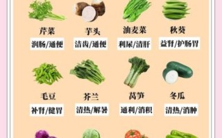 7月8月适合种什么蔬菜_夏季高温蔬菜推荐