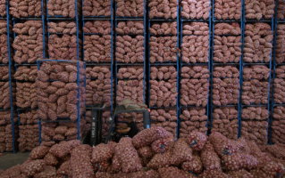 牡丹国际大蒜电子盘怎么开户_牡丹国际大蒜电子盘交易规则