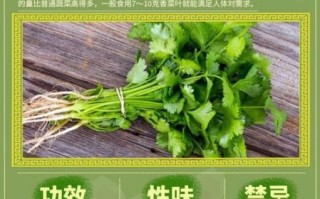 香菜的功效与作用及食用方法_香菜怎么吃最好