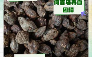 制何首乌泡水喝的正确方法_何首乌泡水用量一天多少克