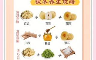 秋冬喝什么汤滋润_润肺润燥汤推荐