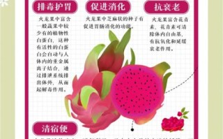 火龙果的功效与作用_火龙果的禁忌症