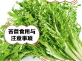 苦菊吃多了有什么副作用_苦菊一天吃多少合适