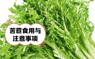 苦菊吃多了有什么副作用_苦菊一天吃多少合适