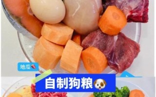 如何在家自制狗粮_狗狗吃什么最健康