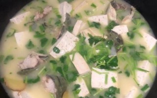 鲶鱼豆腐汤的功效_鲶鱼豆腐汤适合什么人喝