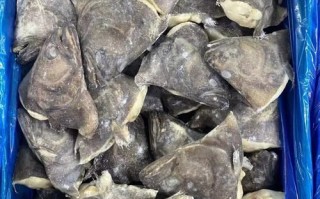 冰冻鲽鱼块怎么做好吃_冰冻鲽鱼块的做法大全