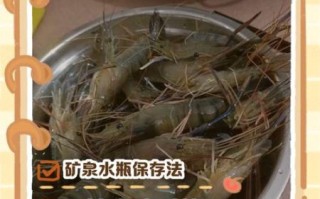 虾婆婆怎么保存_虾婆婆冷冻能放多久