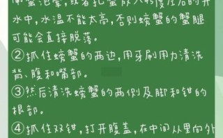 阳澄湖大闸蟹怎么清洗_清蒸大闸蟹做法步骤