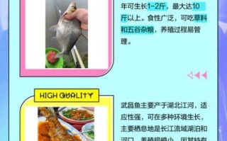 鳊鱼和武昌鱼的区别图_如何一眼分辨