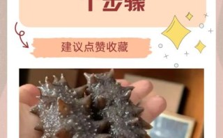 鲜海参怎么泡发_鲜海参的家常做法大全