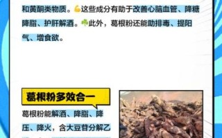 葛根粉的营养价值及功效_葛根粉怎么吃最健康