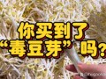 毒豆芽事件真相_毒豆芽对人体有哪些危害