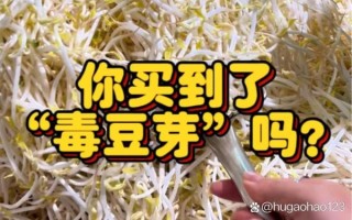 毒豆芽事件真相_毒豆芽对人体有哪些危害