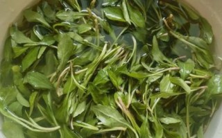 清炒马兰头怎么做好吃_清炒马兰头要不要焯水