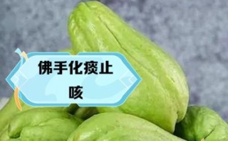 佛手瓜什么人不能吃_佛手瓜禁忌人群有哪些